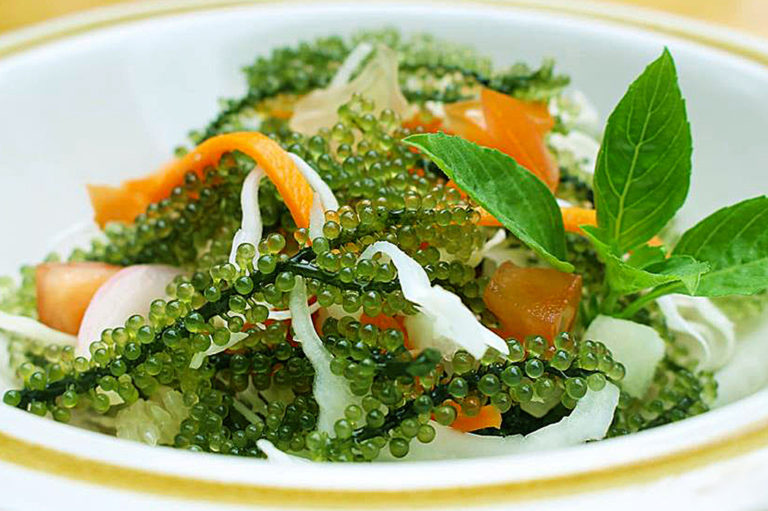 YẾN SÀO, RONG NHO SẢN PHẨM CHĂM SÓC SỨC KHỎE